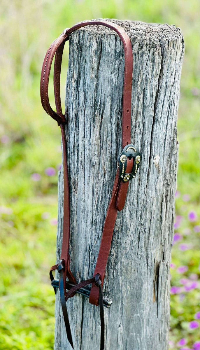 Oiled Harness Single Ear Bridle With Antique Buckle - Dustybutts Australia