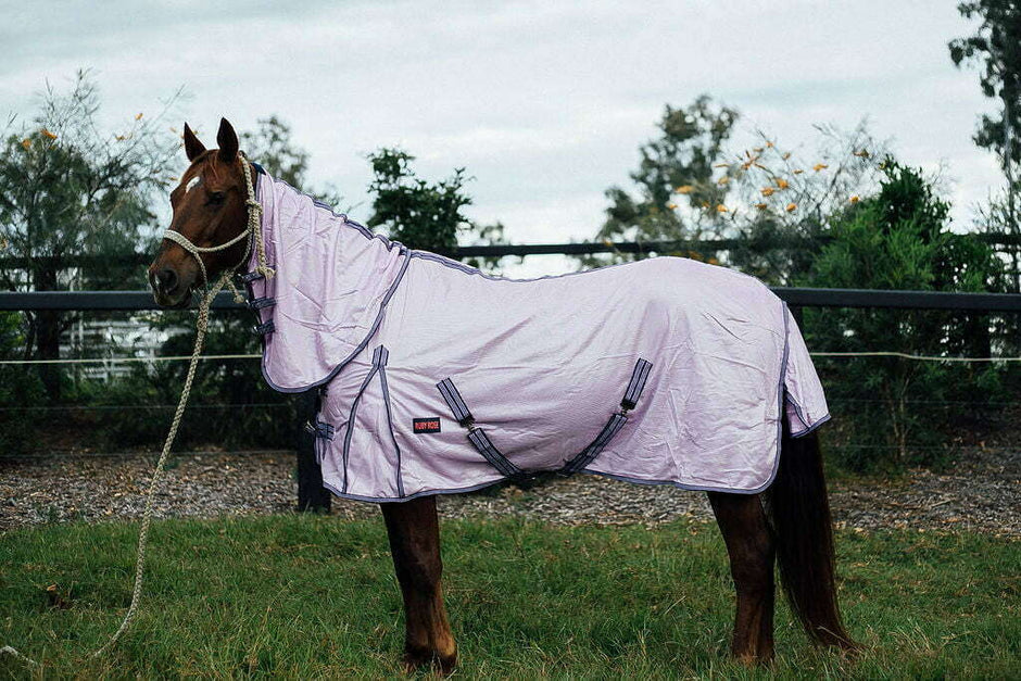 Durable PVC Mesh Horse Rug for Summer Comfort & UV Protection ...