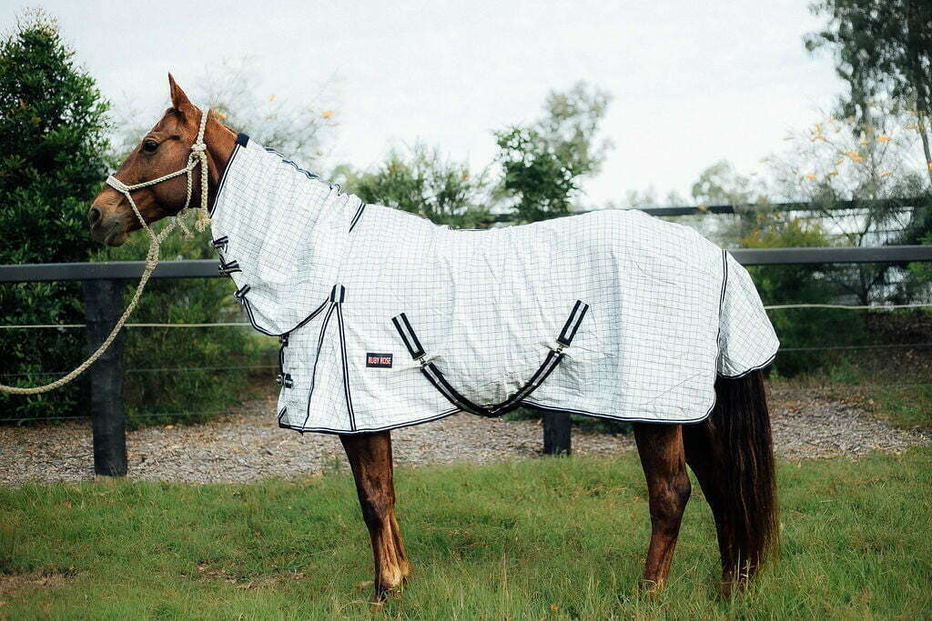 Durable PVC Mesh Horse Rug for Summer Comfort & UV Protection ...