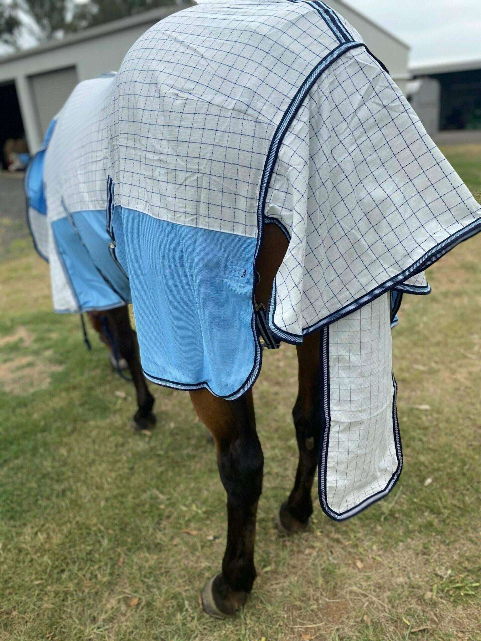 Durable PVC Mesh Horse Rug for Summer Comfort & UV Protection ...